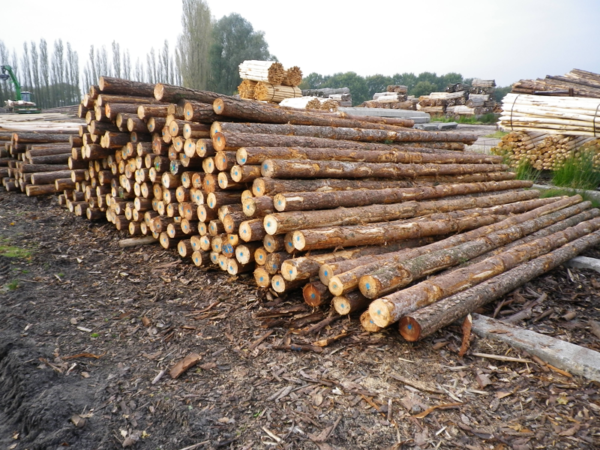 Beschoeiing - Rondhout.com, rondhouthandel bosexploitatie en transport