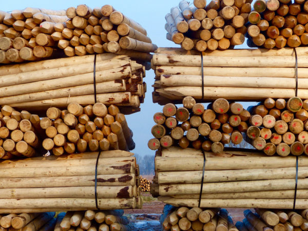 Houten palen - Rondhout.com, rondhouthandel bosexploitatie en transport